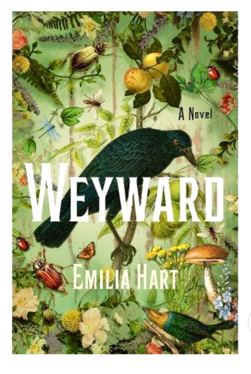 Weyward by Emilia Hart (2023) – Bean's Books and Beyond