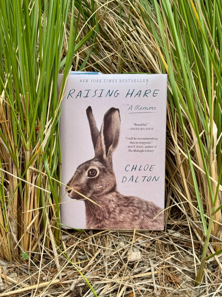 Raising Hare by Chloe Dalton (2024) – Bean's Book Blog