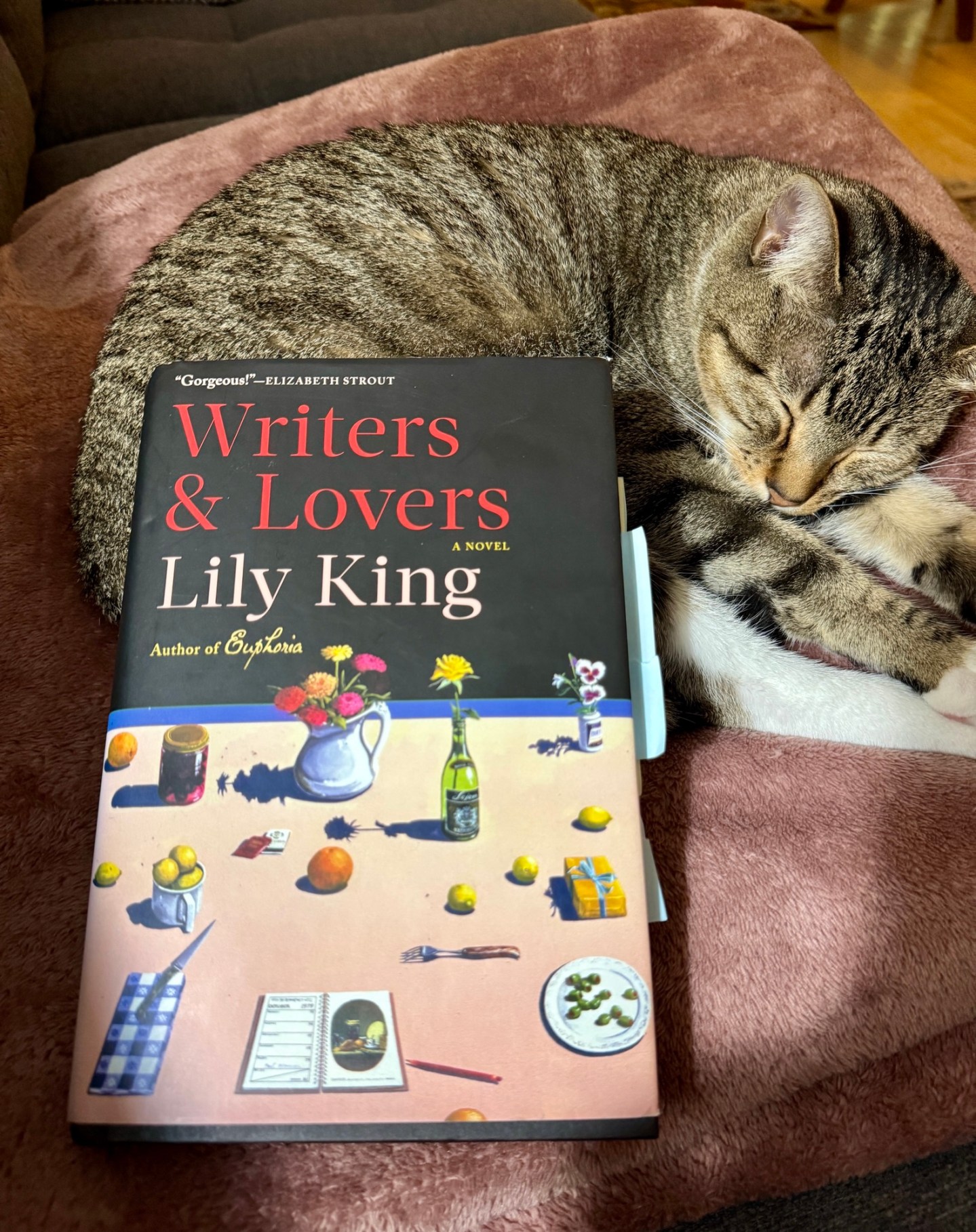 Book Review: Writers & Lovers by Lily King (2020) – Bean's Book Blog