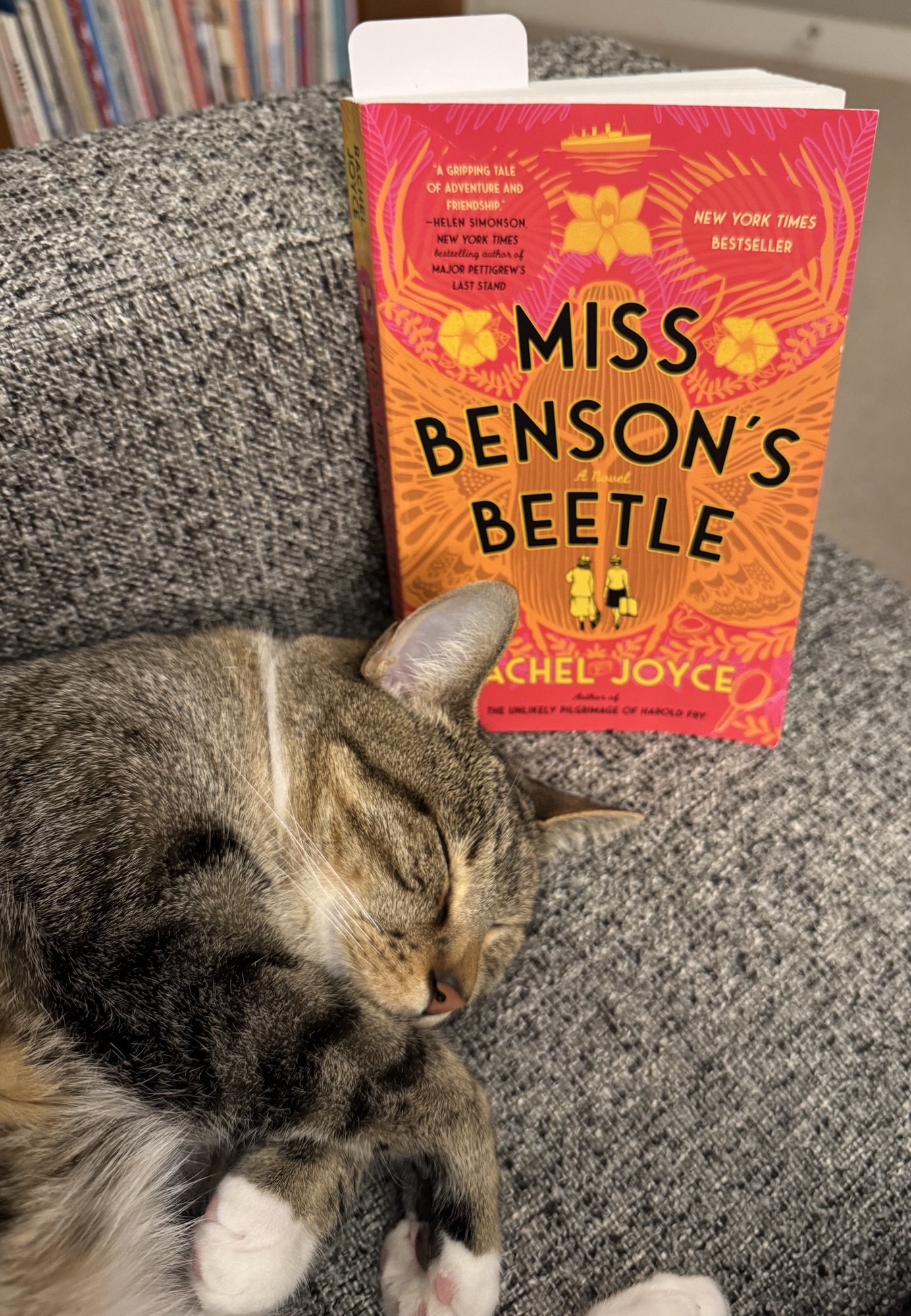 Book Review: Miss Benson’s Beetle by Rachel Joyce (2020) – Bean's Book Blog